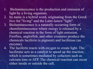 Biolumeniscence | PPTX