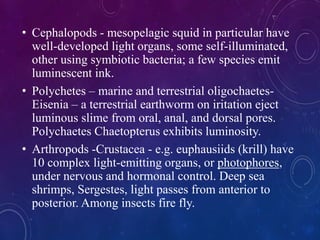 Biolumeniscence | PPTX