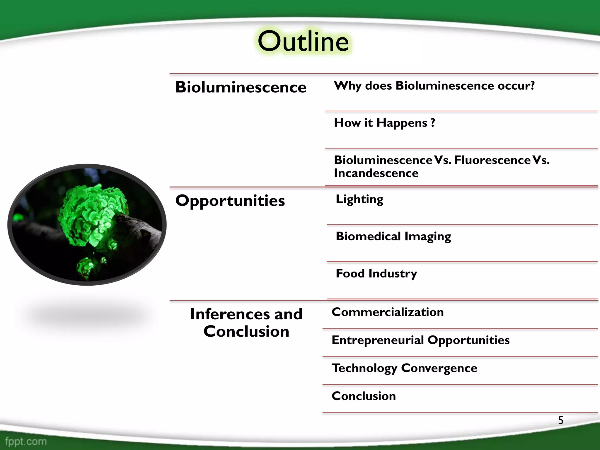 Bioluminescence and its Applications and Economic Feasibility | PDF