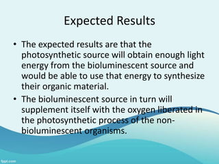 Bioluminescence | PPTX