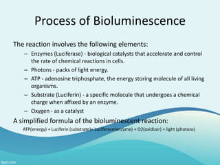 Bioluminescence | PPTX | Biological Sciences | Science