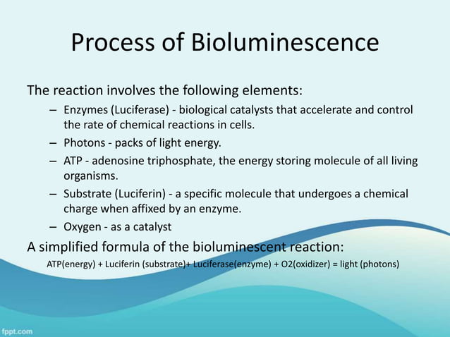 Bioluminescence | PPTX | Biological Sciences | Science