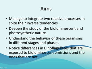 Bioluminescence | PPTX | Biological Sciences | Science