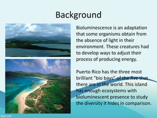Bioluminescence | PPTX | Biological Sciences | Science