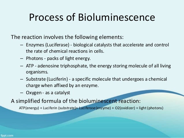Bioluminescence