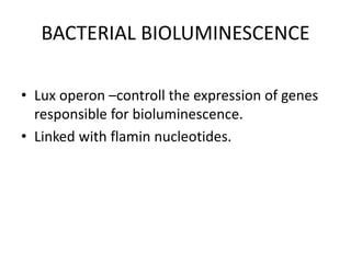 Bioluminescence | PPTX