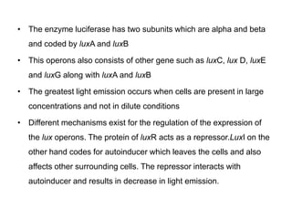 Bioluminescence | PPTX