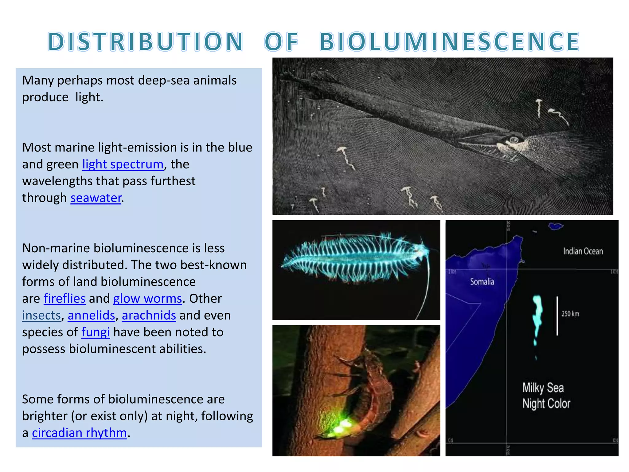 Bioluminescence | PPTX