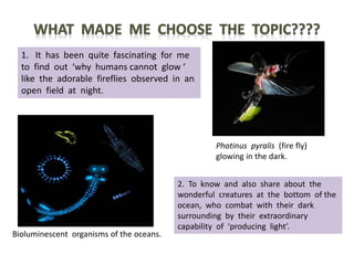 Bioluminescence | PPTX