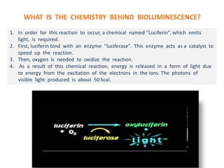 Bioluminescence | PPTX