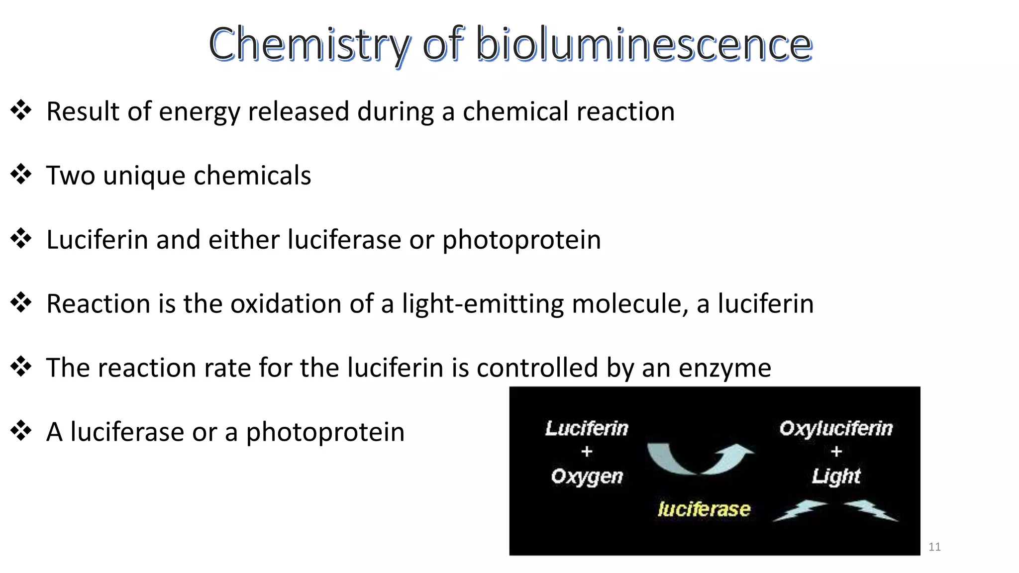 Bioluminescence | PPTX