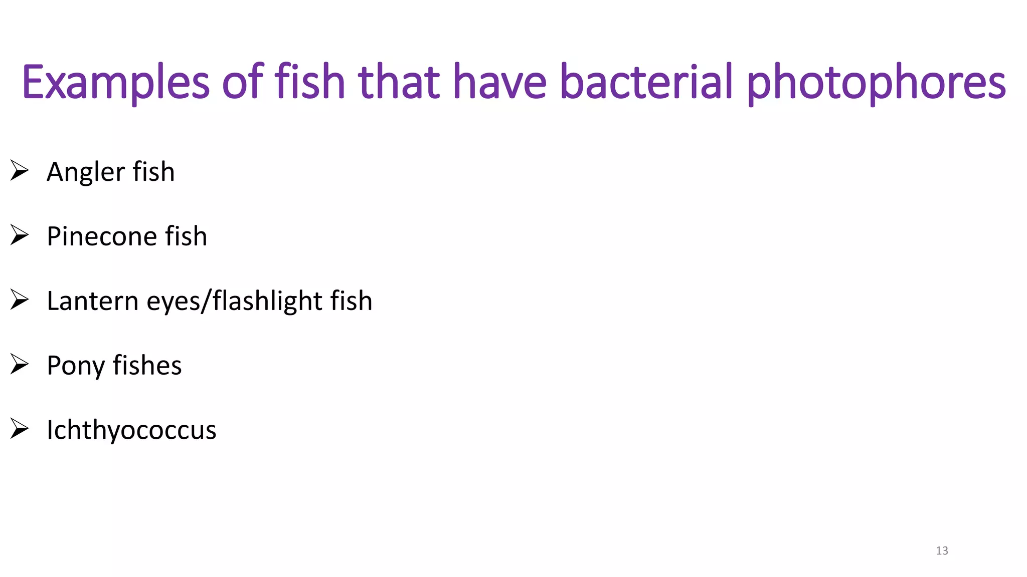 Bioluminescence | PPTX