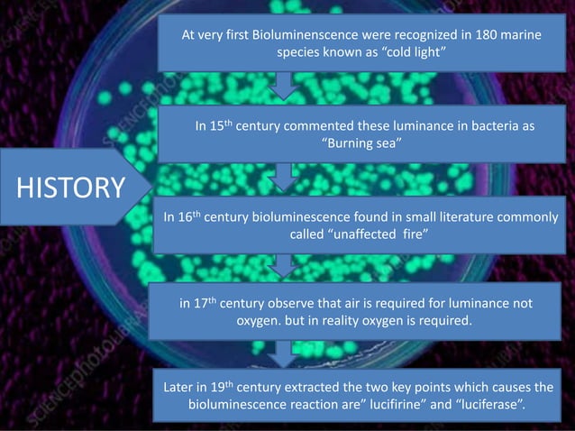 Bioluminescence by iqra malik | PPTX | Geography | Science