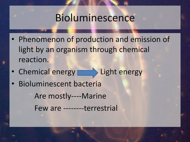 Bioluminescence by iqra malik | PPTX | Geography | Science