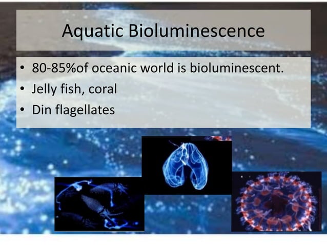 Bioluminescence by iqra malik | PPTX | Geography | Science