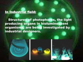Bioluminescence by iqra malik | PPTX