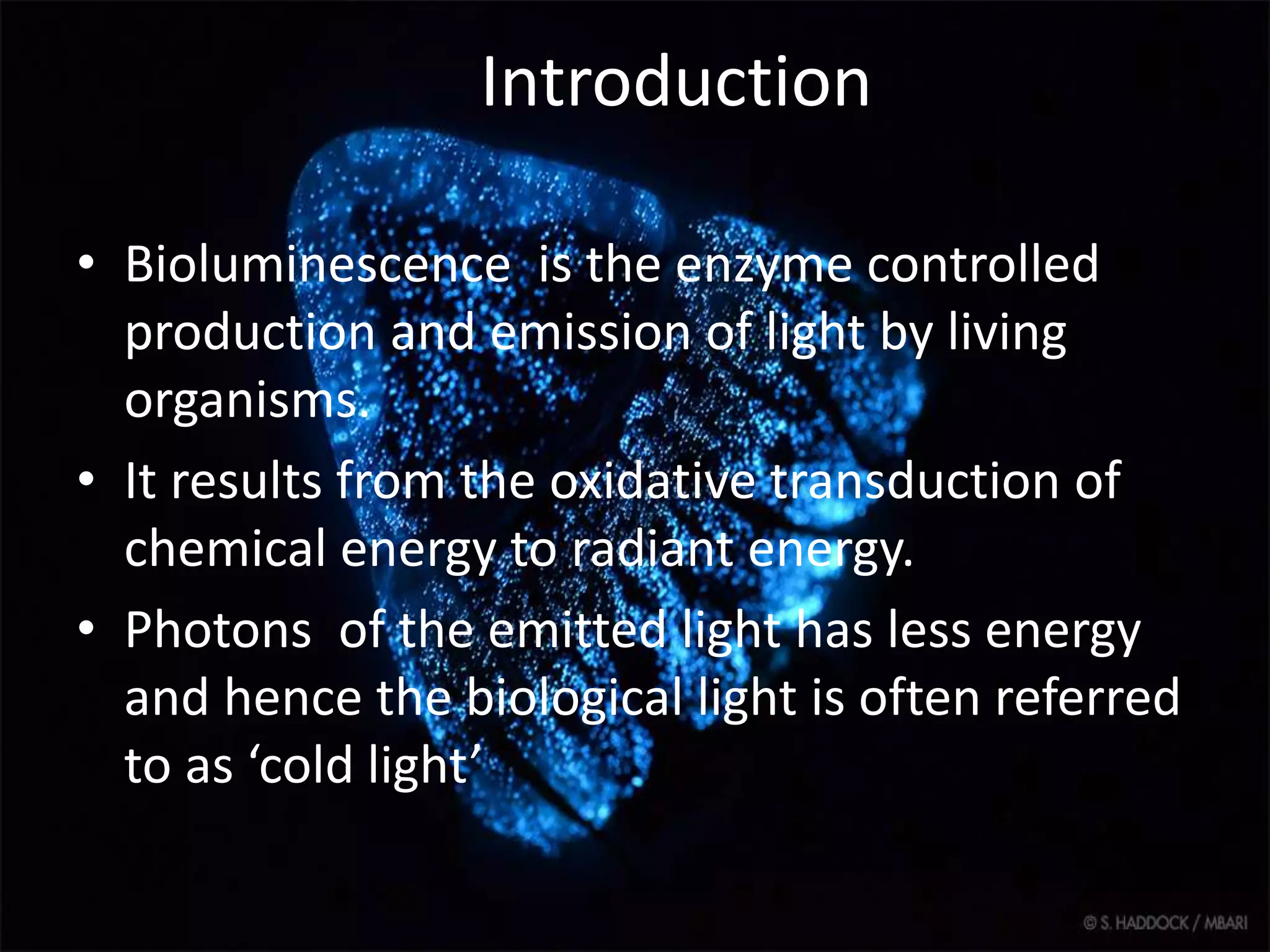 Bioluminescence | PPTX