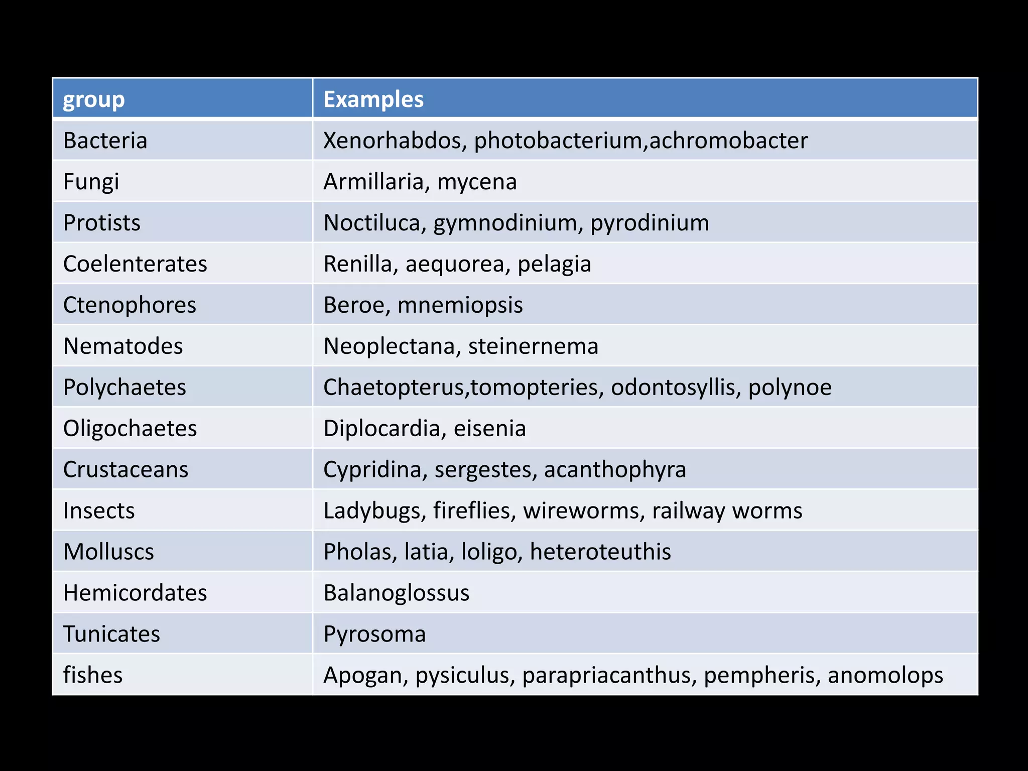 Bioluminescence | PPTX