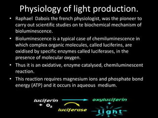 Bioluminescence | PPTX