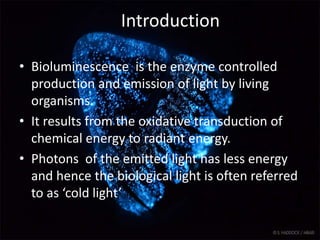 Bioluminescence | PPTX | Eye and Vision Conditions | Diseases and ...