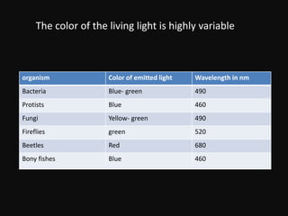 Bioluminescence | PPTX | Eye and Vision Conditions | Diseases and ...