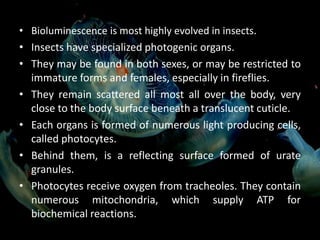 Bioluminescence | PPTX | Eye and Vision Conditions | Diseases and ...