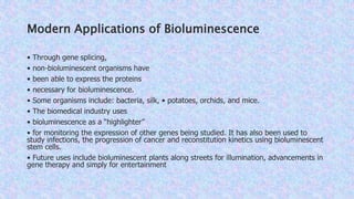 BIOLUMINESCENCE.pptx