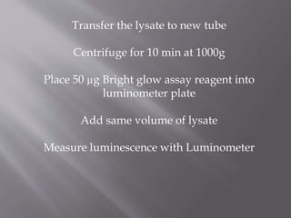 Bioluminescence assay | PPTX