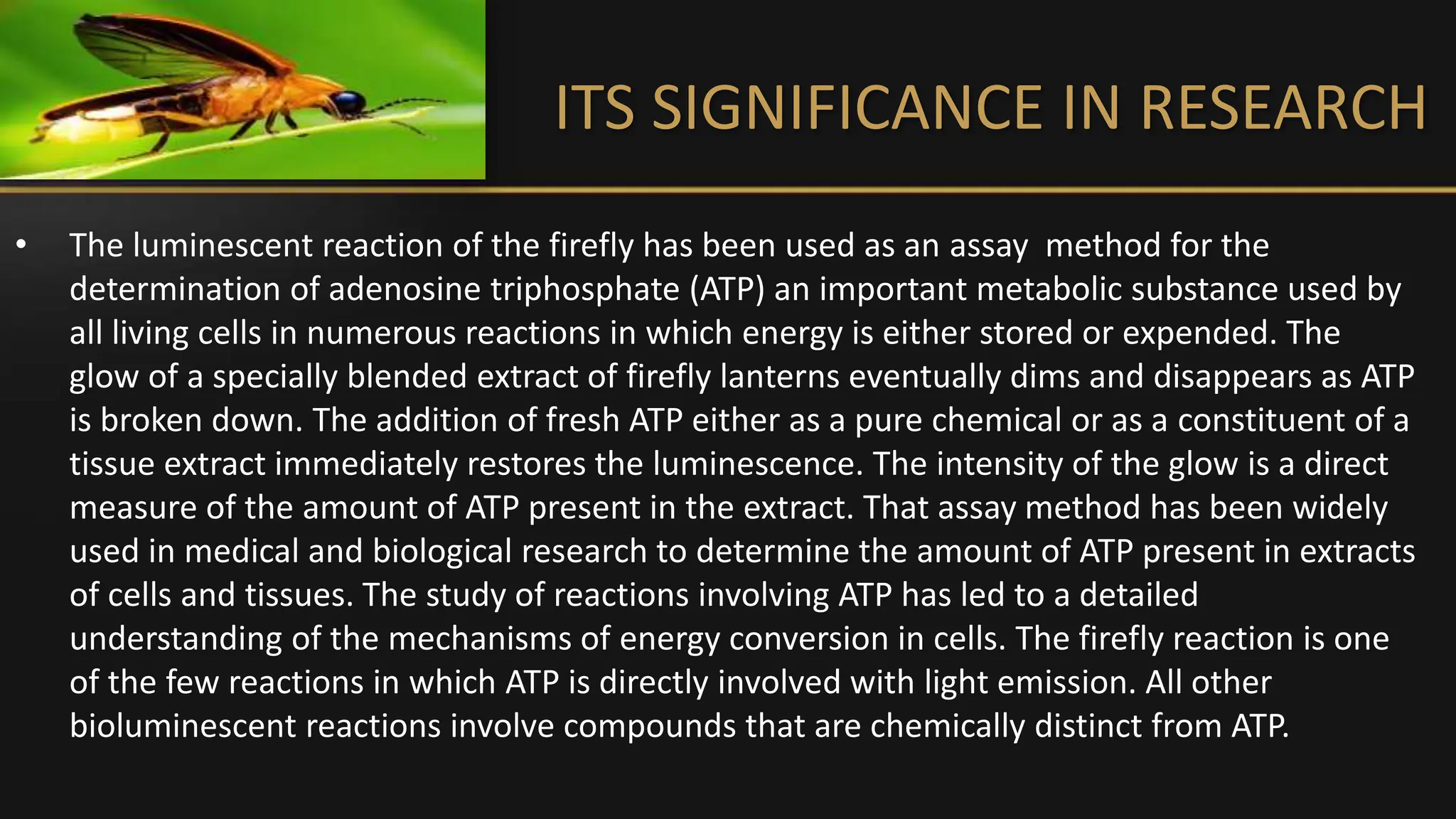 BIOLUMINESCENCE (Glowing Organisms).pptx