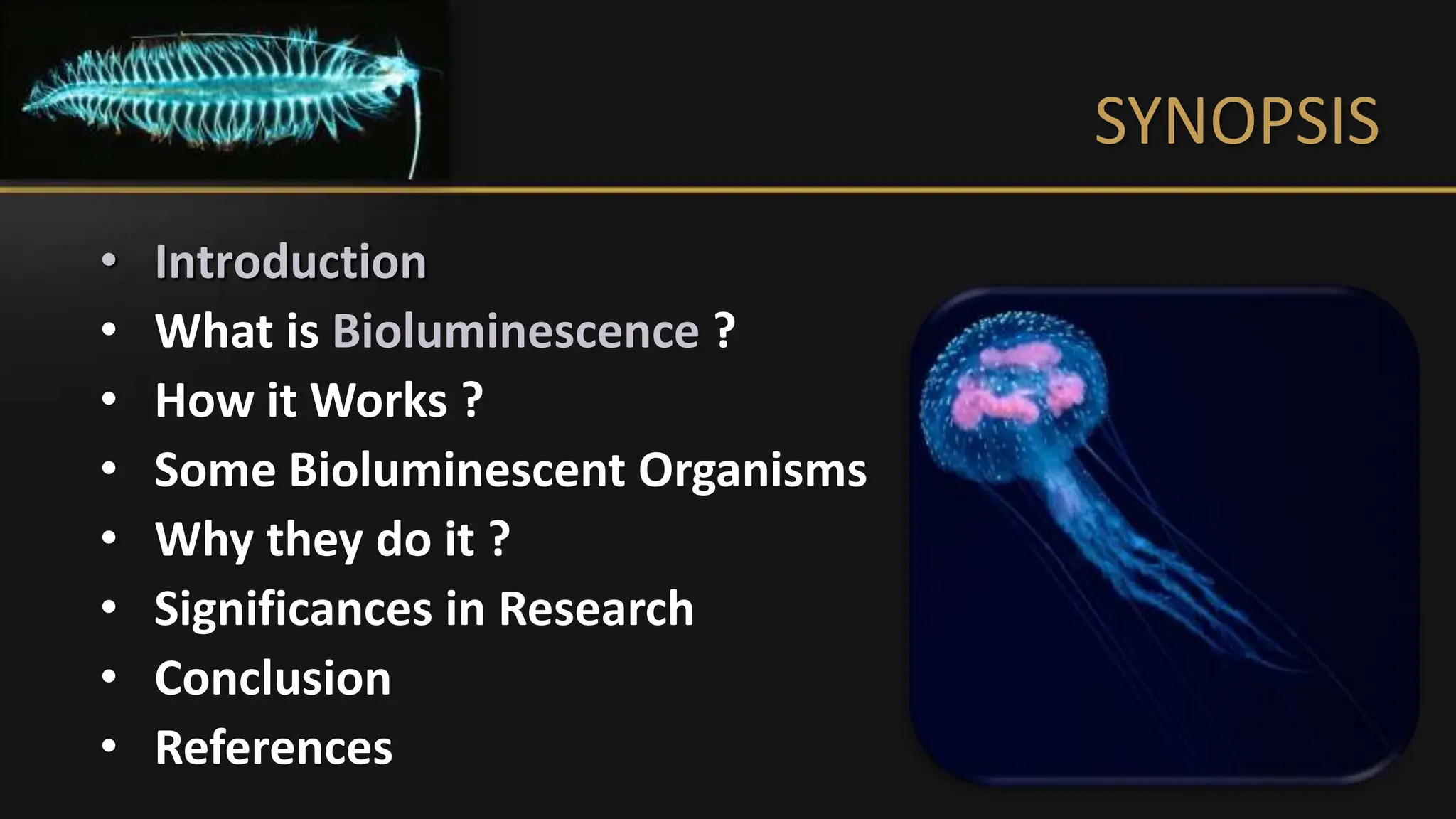 BIOLUMINESCENCE (Glowing Organisms).pptx