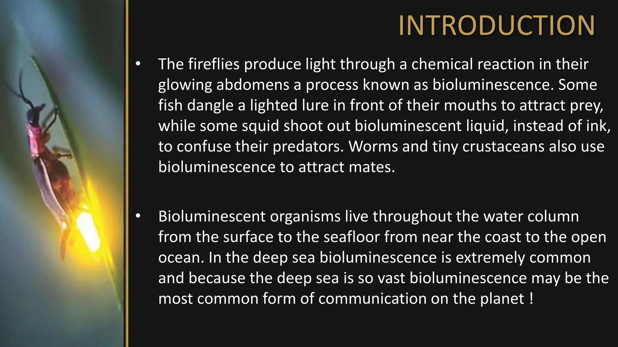 BIOLUMINESCENCE (Glowing Organisms).pptx