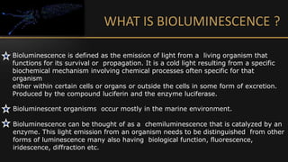 BIOLUMINESCENCE (Glowing Organisms).pptx