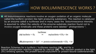 BIOLUMINESCENCE (Glowing Organisms).pptx