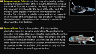 BIOLUMINESCENCE (Glowing Organisms).pptx