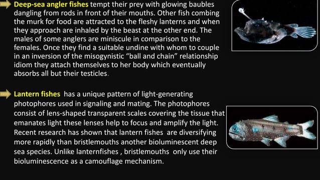 BIOLUMINESCENCE (Glowing Organisms).pptx | Biological Sciences | Science