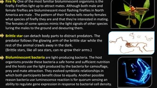 BIOLUMINESCENCE (Glowing Organisms).pptx