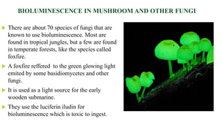 BIOLUMINESCENCE IN MICROORGANISMS PPT.pptx
