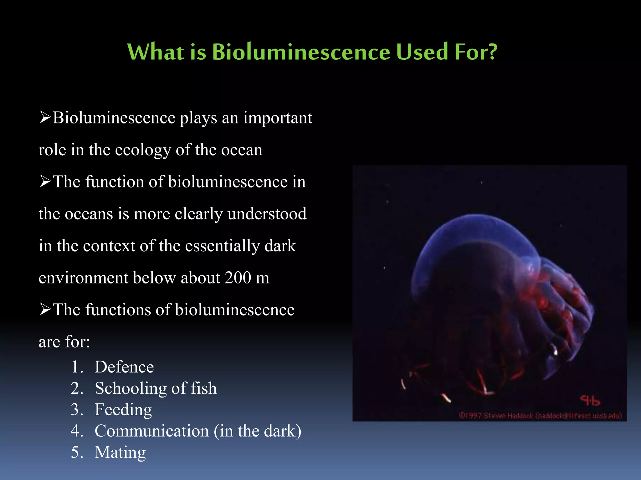 Bioluminescence mechanism | PPTX