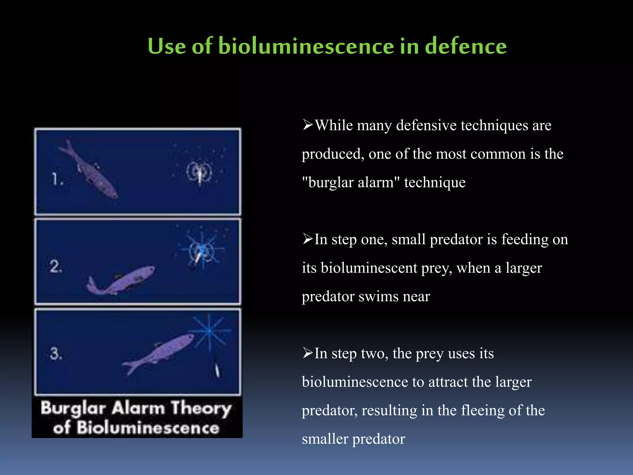 Bioluminescence mechanism | PPTX
