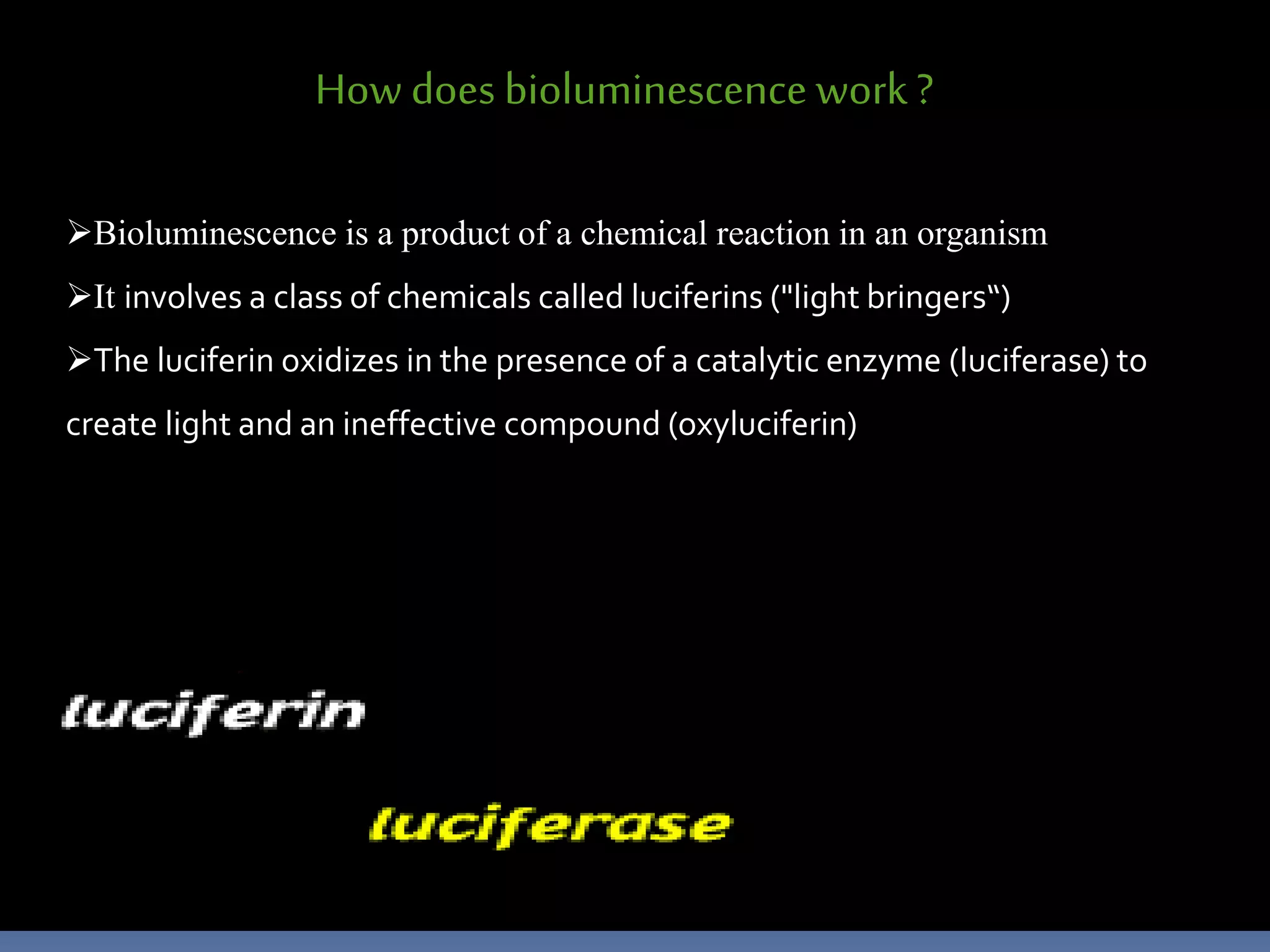 Bioluminescence mechanism | PPTX