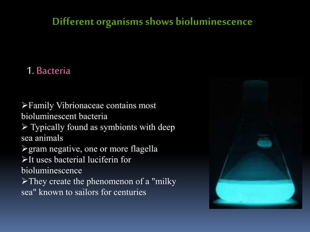 Bioluminescence mechanism | PPT