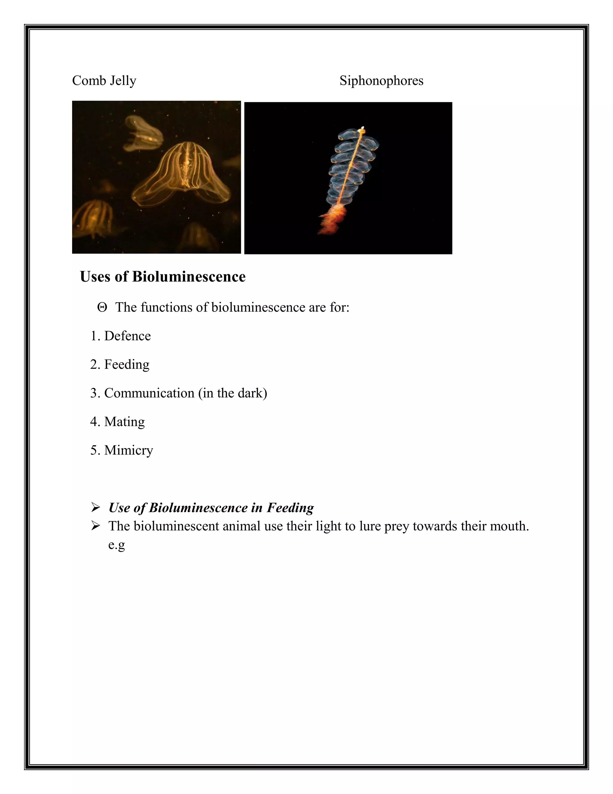 Bioluminescence ppt | PDF
