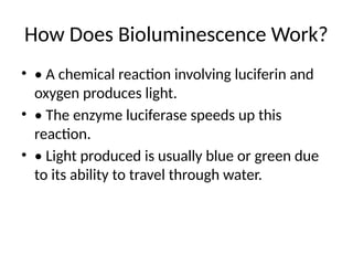 Bioluminescence The Secret Language of Light in the Animal Kingdom ...