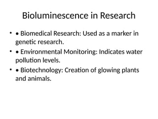 Bioluminescence The Secret Language of Light in the Animal Kingdom ...