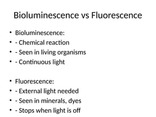 Bioluminescence_Presentation_he (1).pptx
