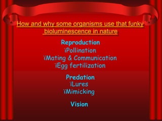 bioluminescencezas.ppt