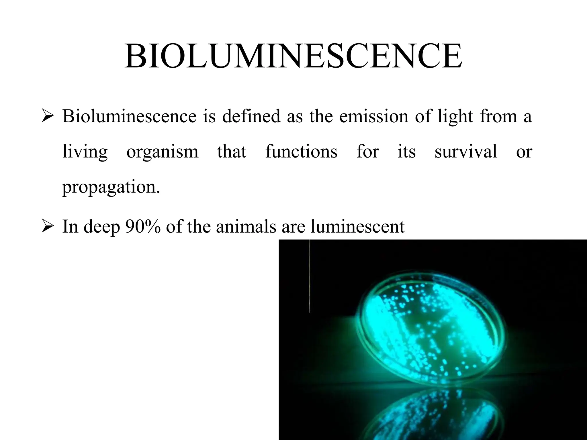 bioluminiscence example for light movement | PPTX