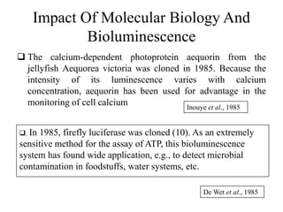 bioluminiscence example for light movement | PPTX