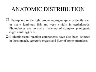 bioluminiscence example for light movement | PPTX