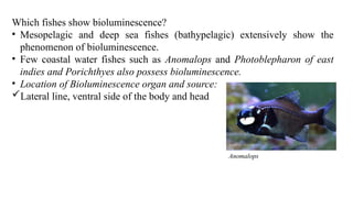 Fish Bioluminiscences and their functions | PPTX